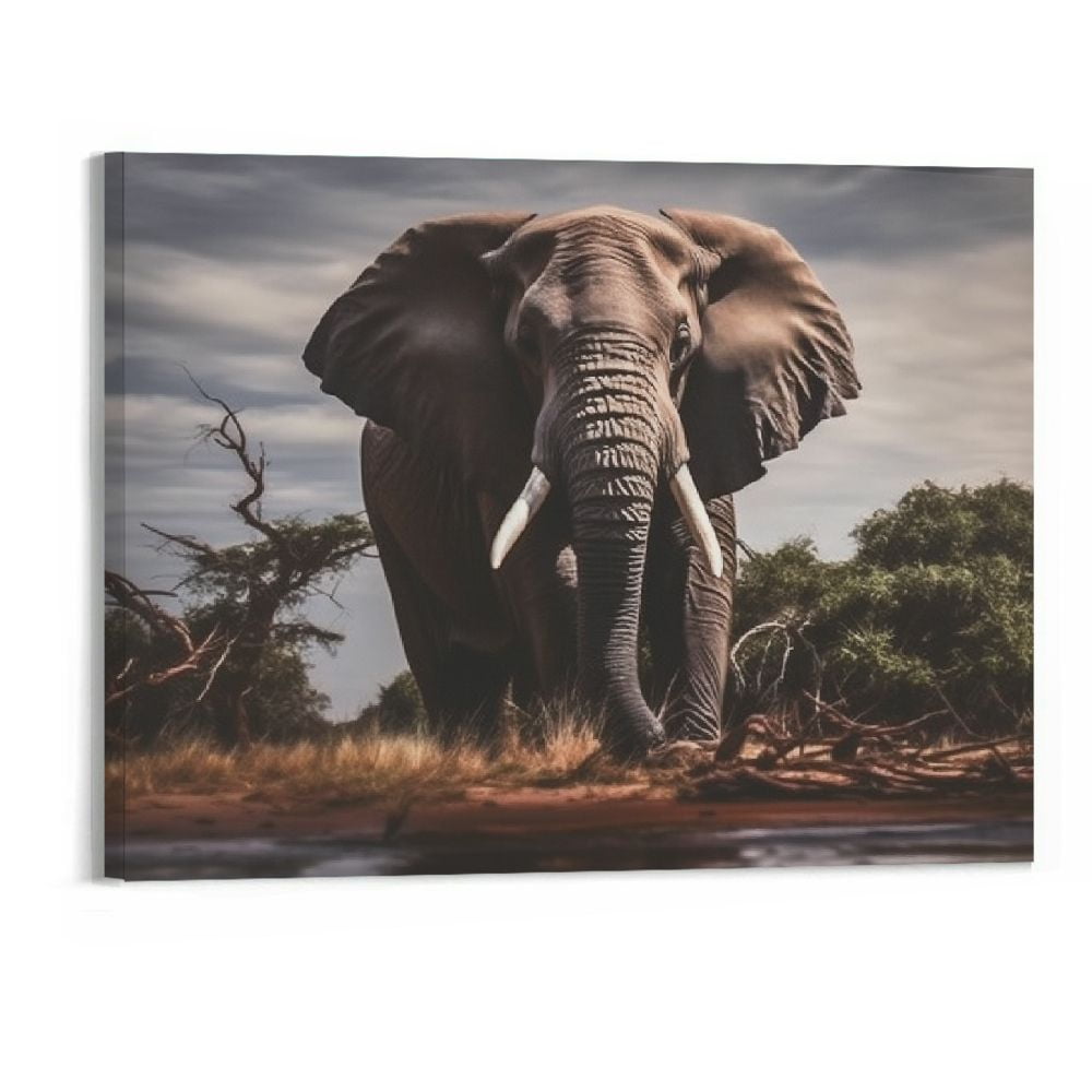 COMIO Angry-elephant-poster Poster Decorative Painting Canvas Wall Art ...