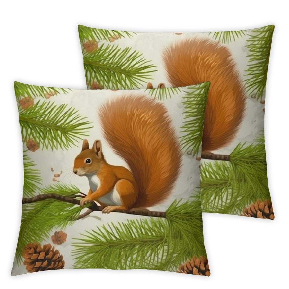 COMIO Animals Decorations Pillow Covers Squirrel Pillow Cases Set of 2 ...