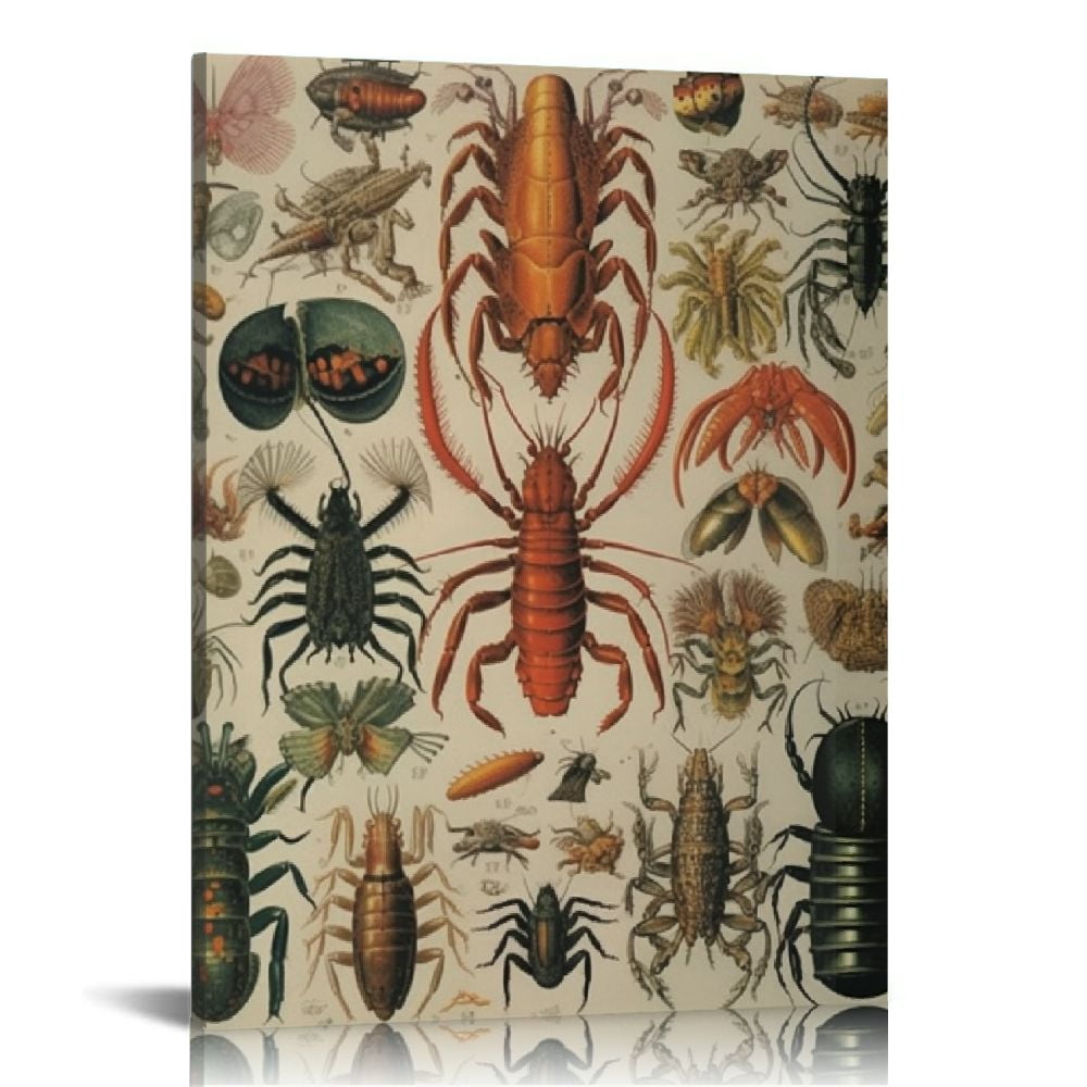 COMIO Antique Crustacean Species Poster - Vintage Detailed Seafood ...