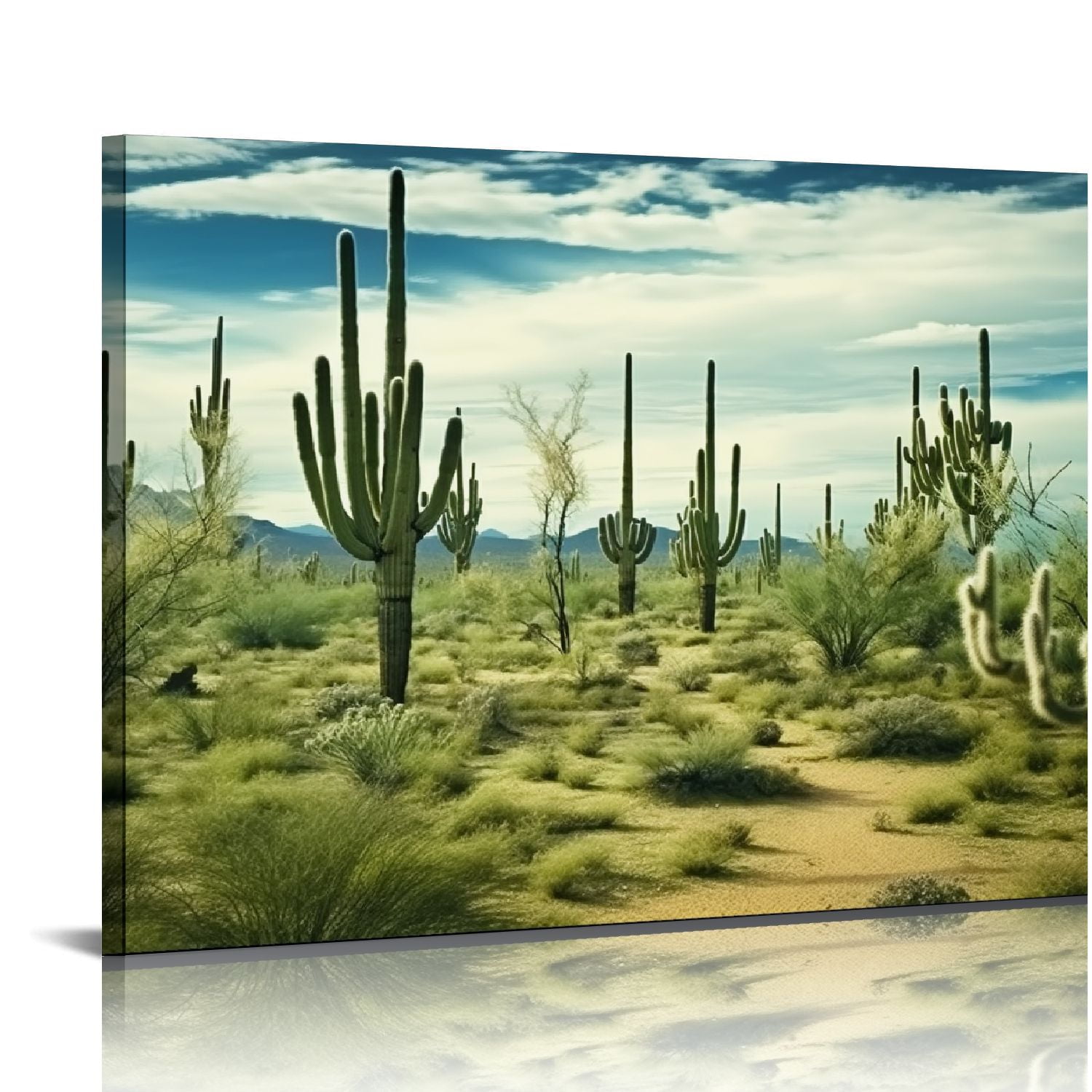 COMIO Arizona Desert Canvas Wall Art Spring Green Sonoran Cactus ...