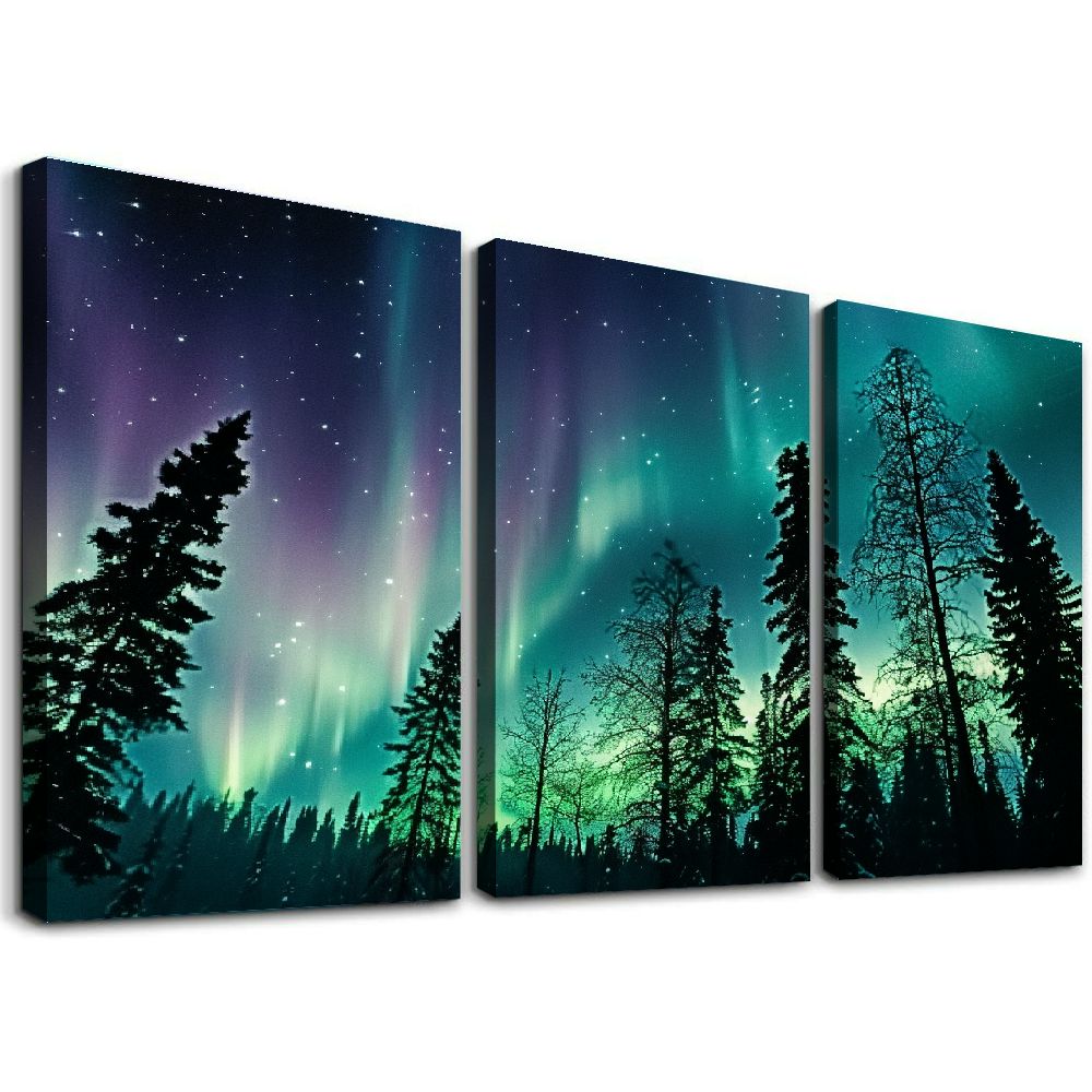 COMIO Aurora Canvas Wall Art Borealis Snow Mountain Picture Print ...