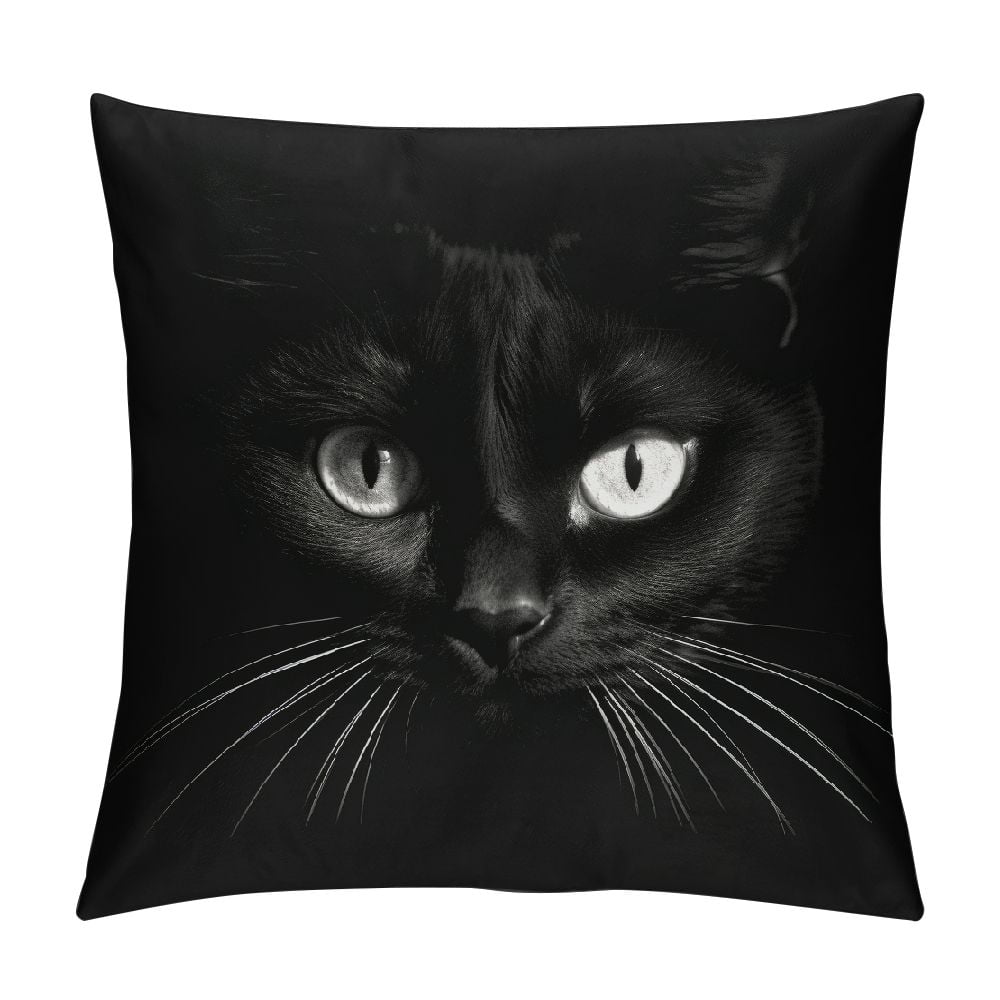 MLJA Black Cat Decorative Throw Pillow Covers Cushion Covers, Cute Pet ...