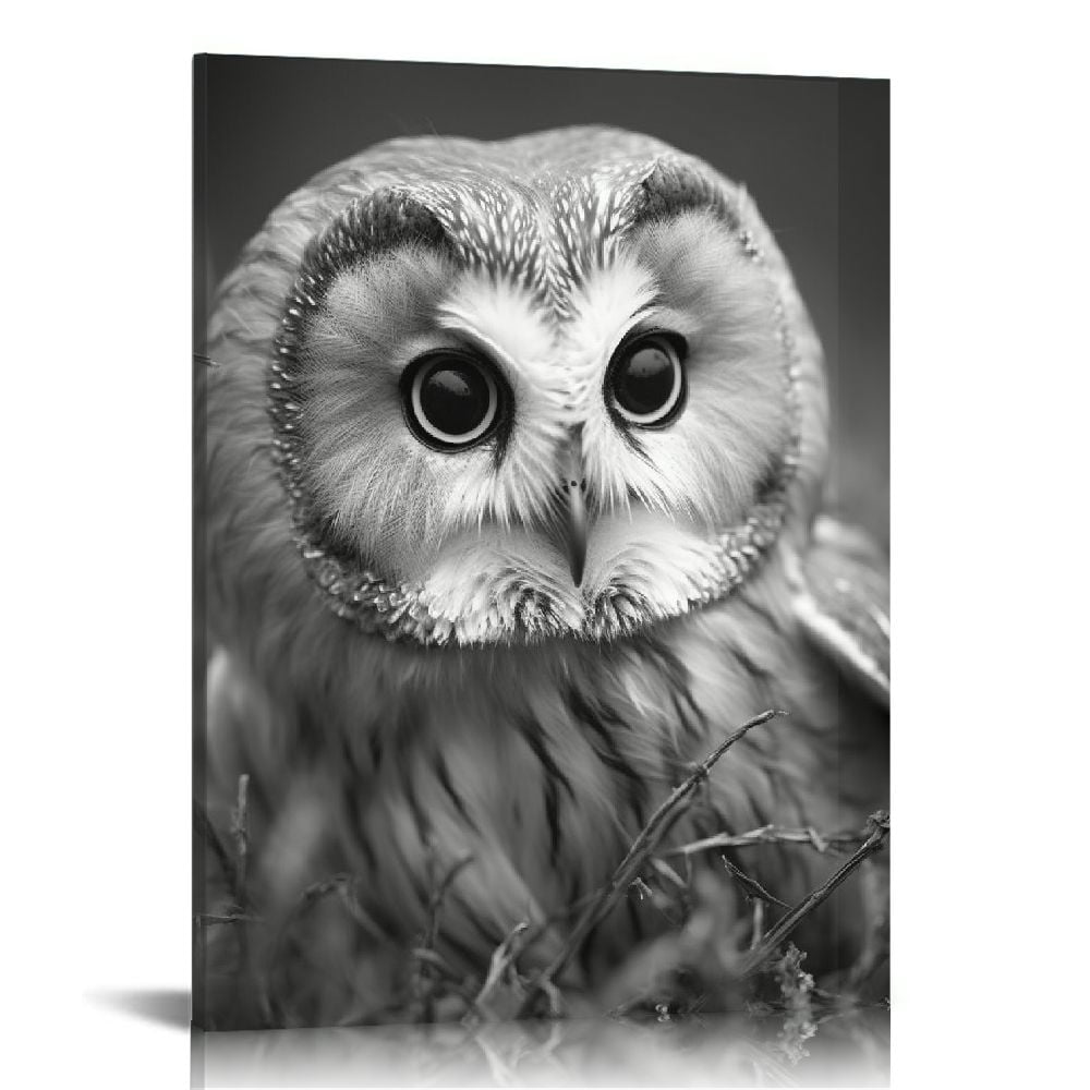COMIO Black and White Owl Canvas Wall Art Bird Decor Forest Wise Man Pictures on Canvas Wall Art ...