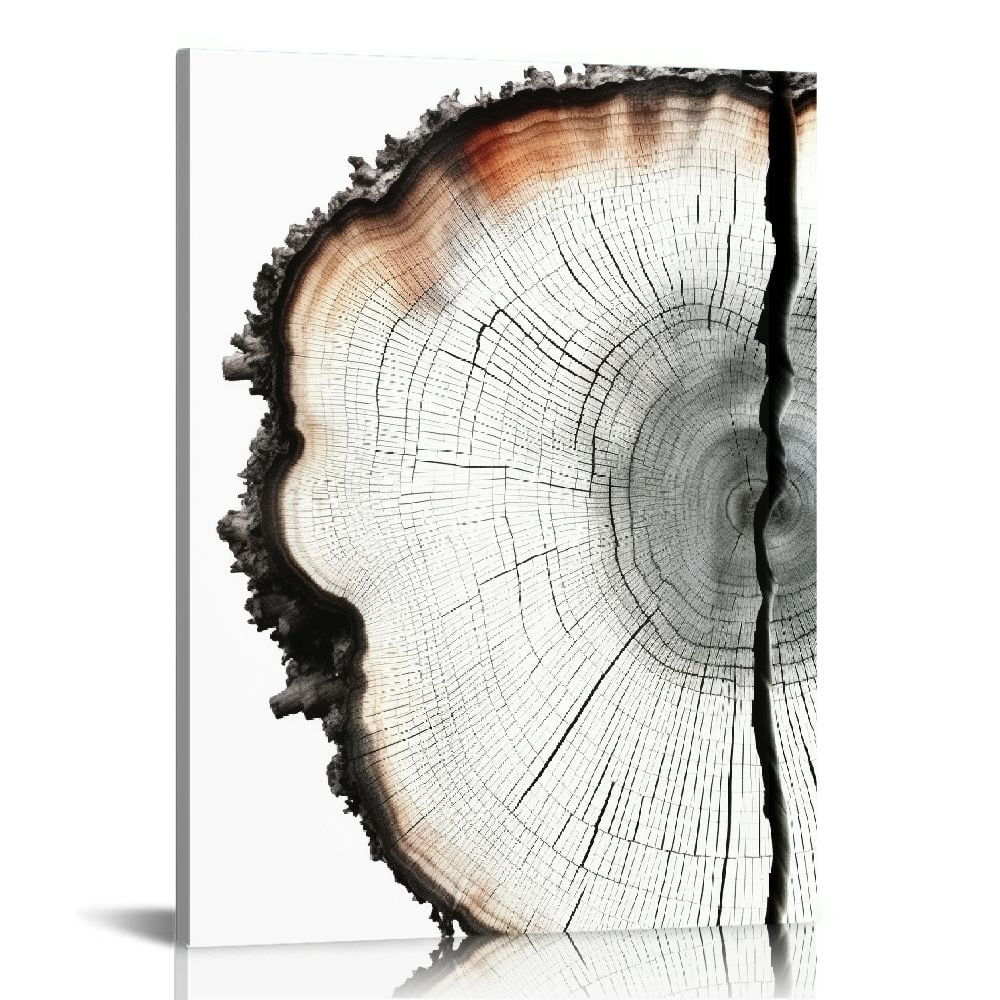 COMIO Black White Wall Art Tree Ring Canvas Print Art, Nature ...