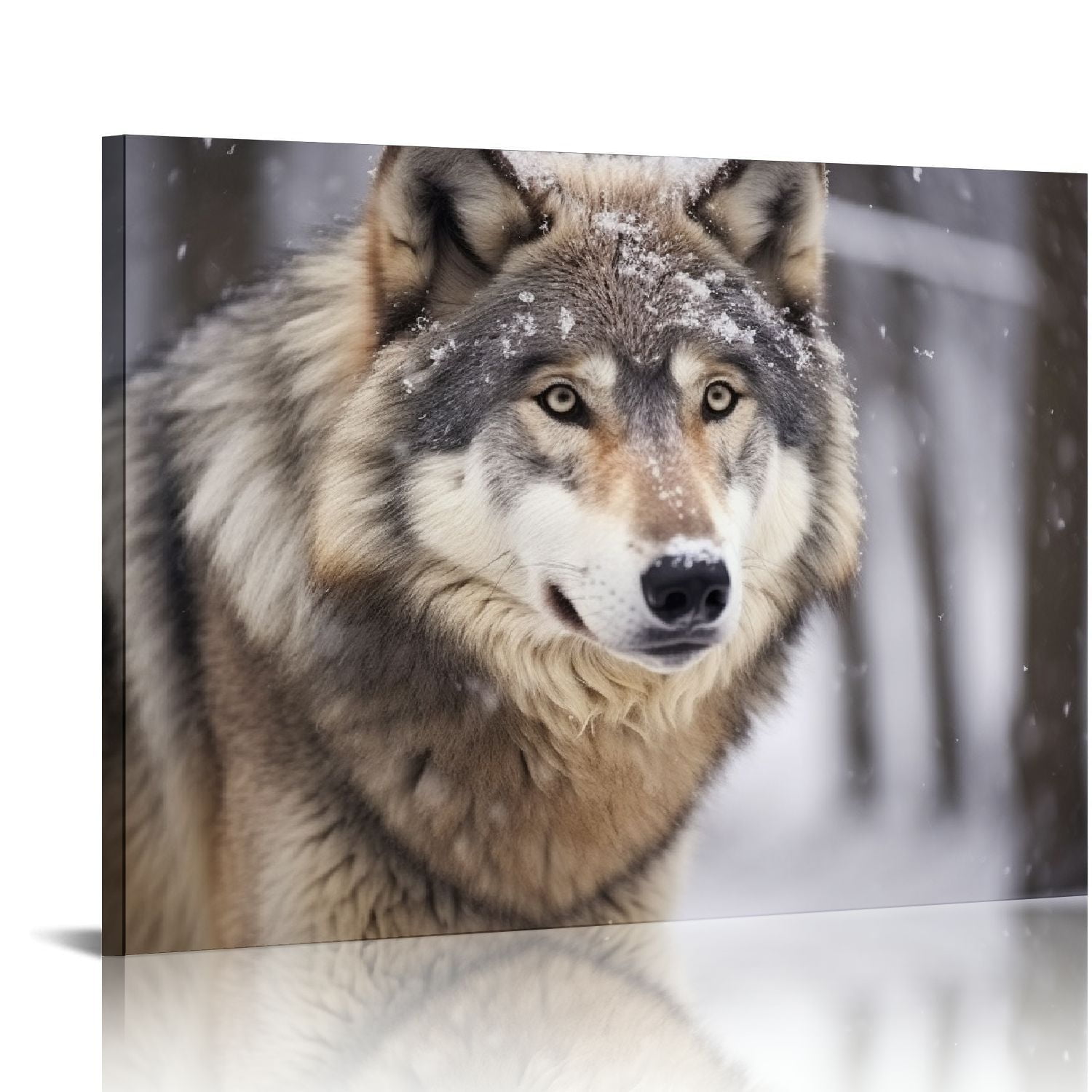 COMIO Black White Wolf Wall Art - Animal Firm eyes Look into the Distance Canvas Picture Snow ...