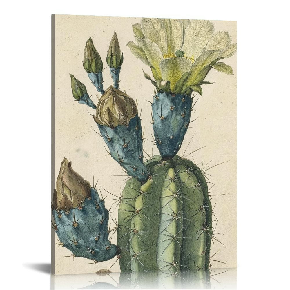 COMIO Botanical Framed Wall Art, Plant Cactus Bathroom Art Decor ...