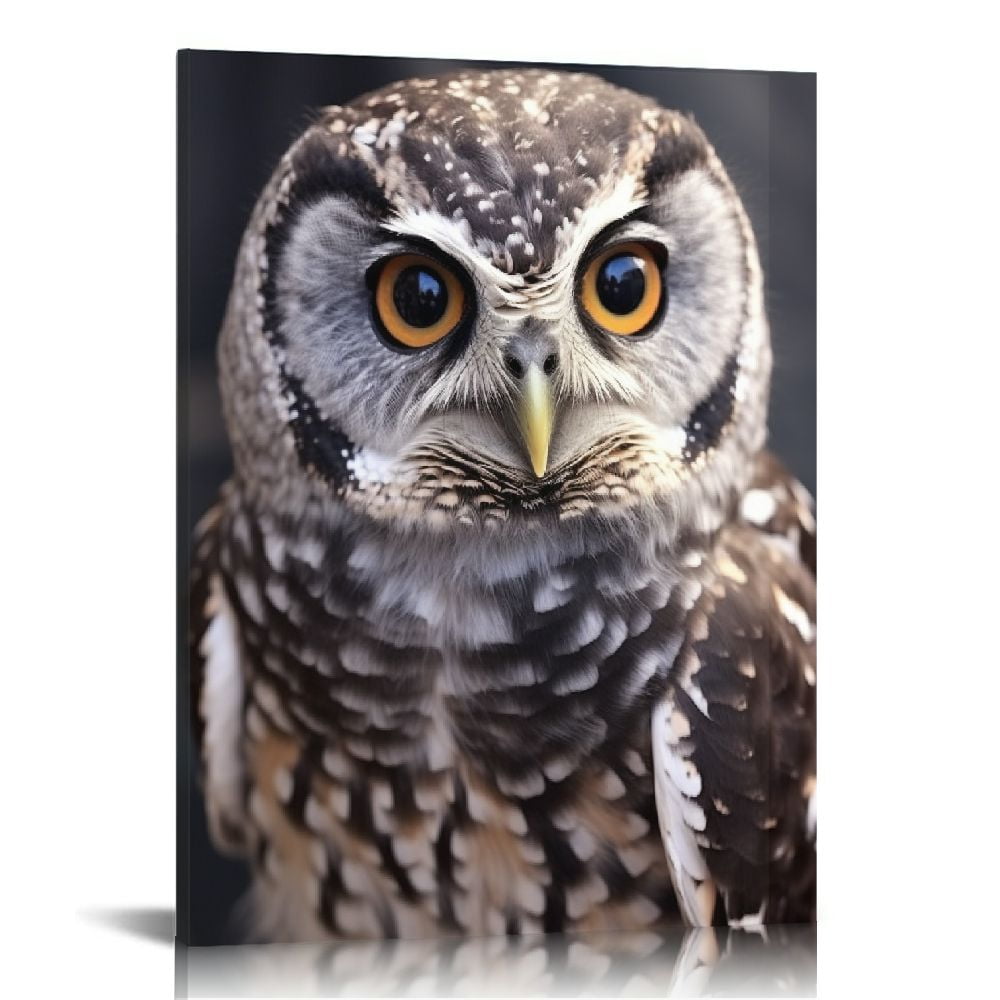 COMIO Canvas Print Wall Art Gray Owl with Bokeh Camera Effect Animals ...
