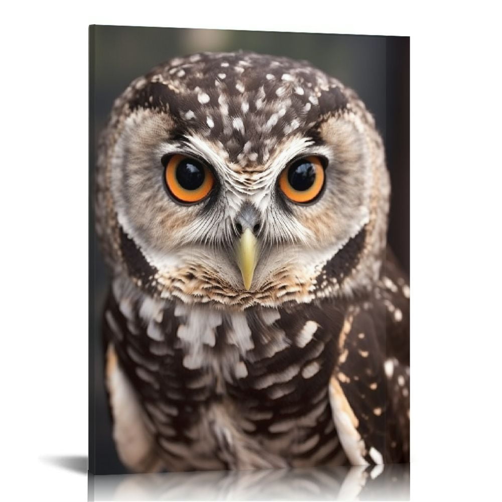 COMIO Canvas Print Wall Art Gray Owl with Bokeh Camera Effect Animals ...