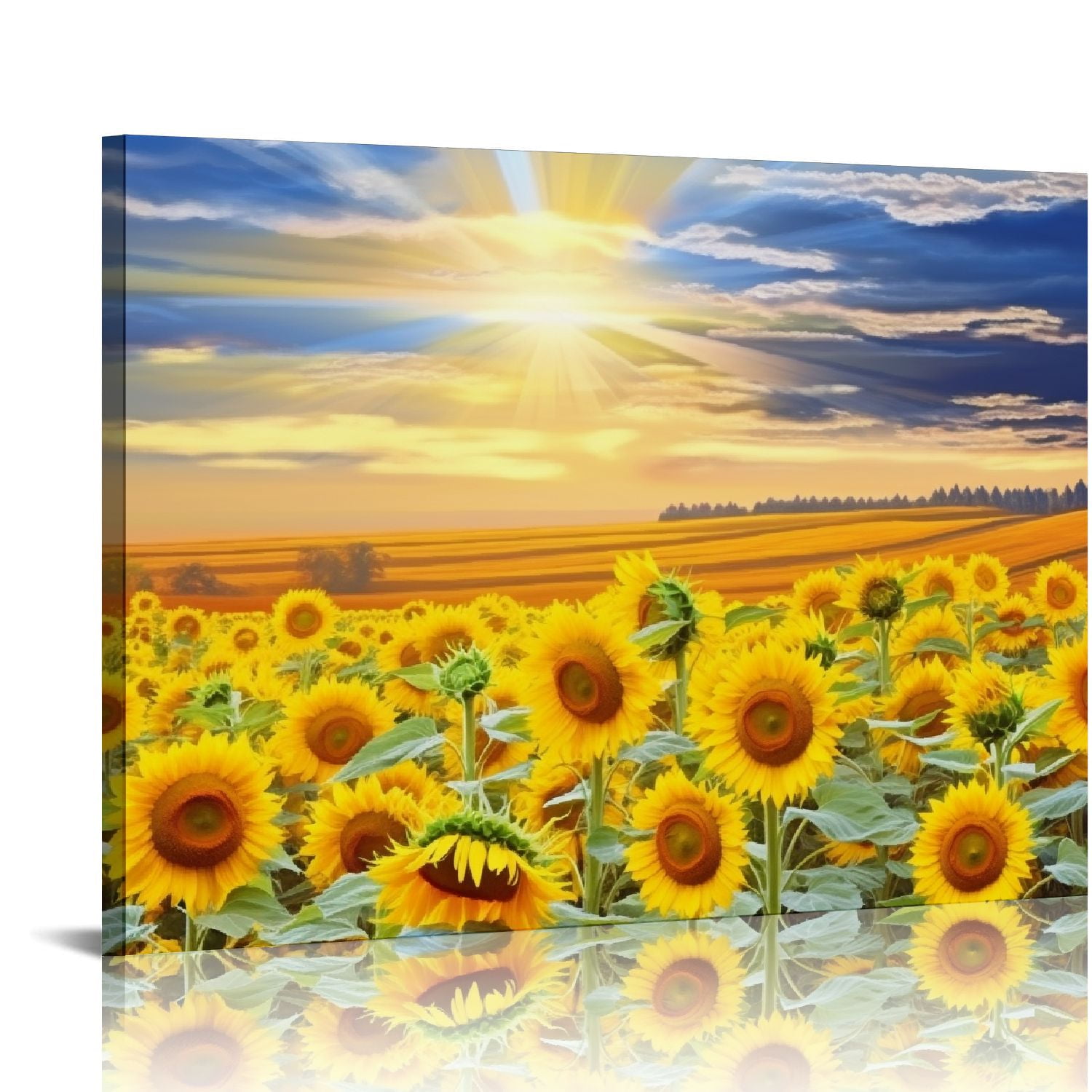 COMIO Canvas Print Wall Art Sunlight Shines on Sunflower Field Floral ...