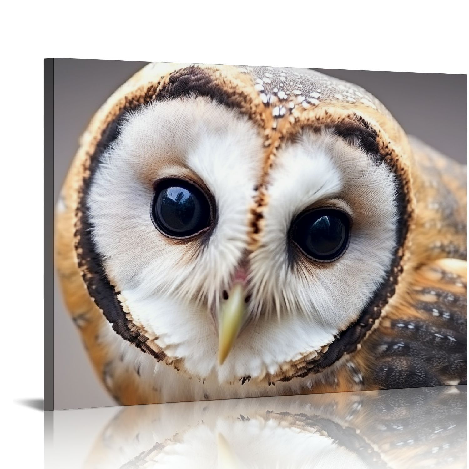 COMIO Canvas Print Wall Art White Owl with Twisted Head Animals ...