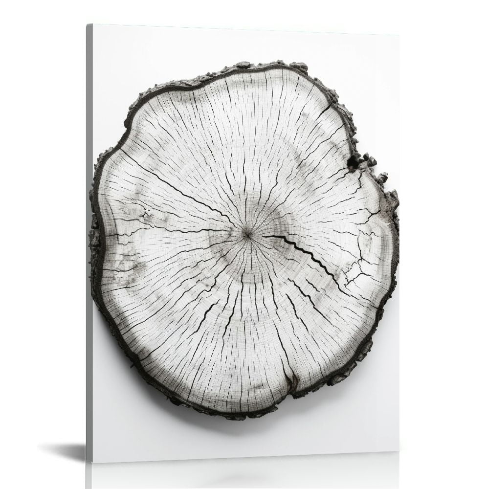 COMIO Canvas Tree Ring Wall Art, Pastel Gray Artwork, Minimalist Wall ...