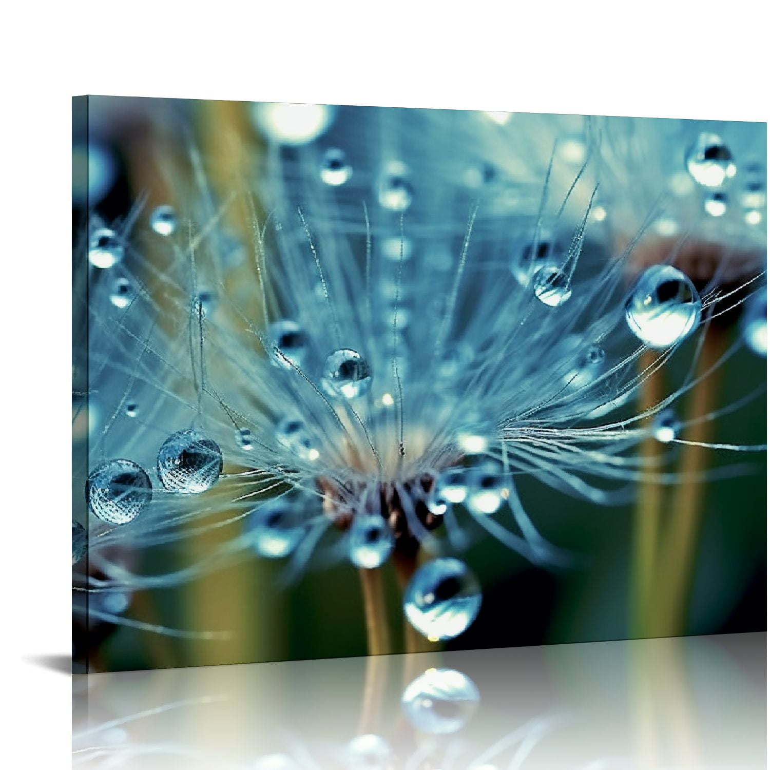 COMIO Canvas Wall Art Dandelion And Water Drop Canvas Print Artwork ...