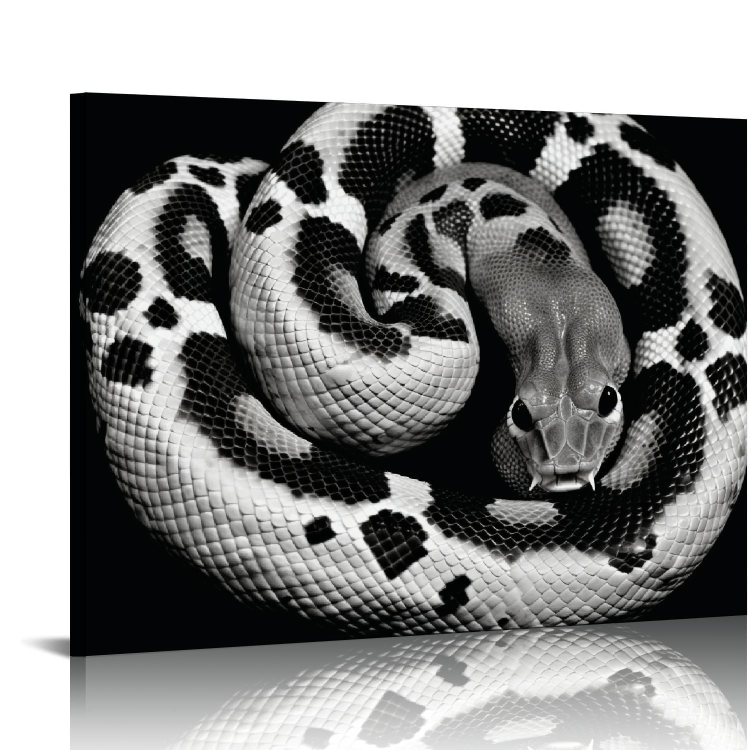 COMIO Canvas Wall Art Snake Black And White Posters Pictures Wall Decor ...