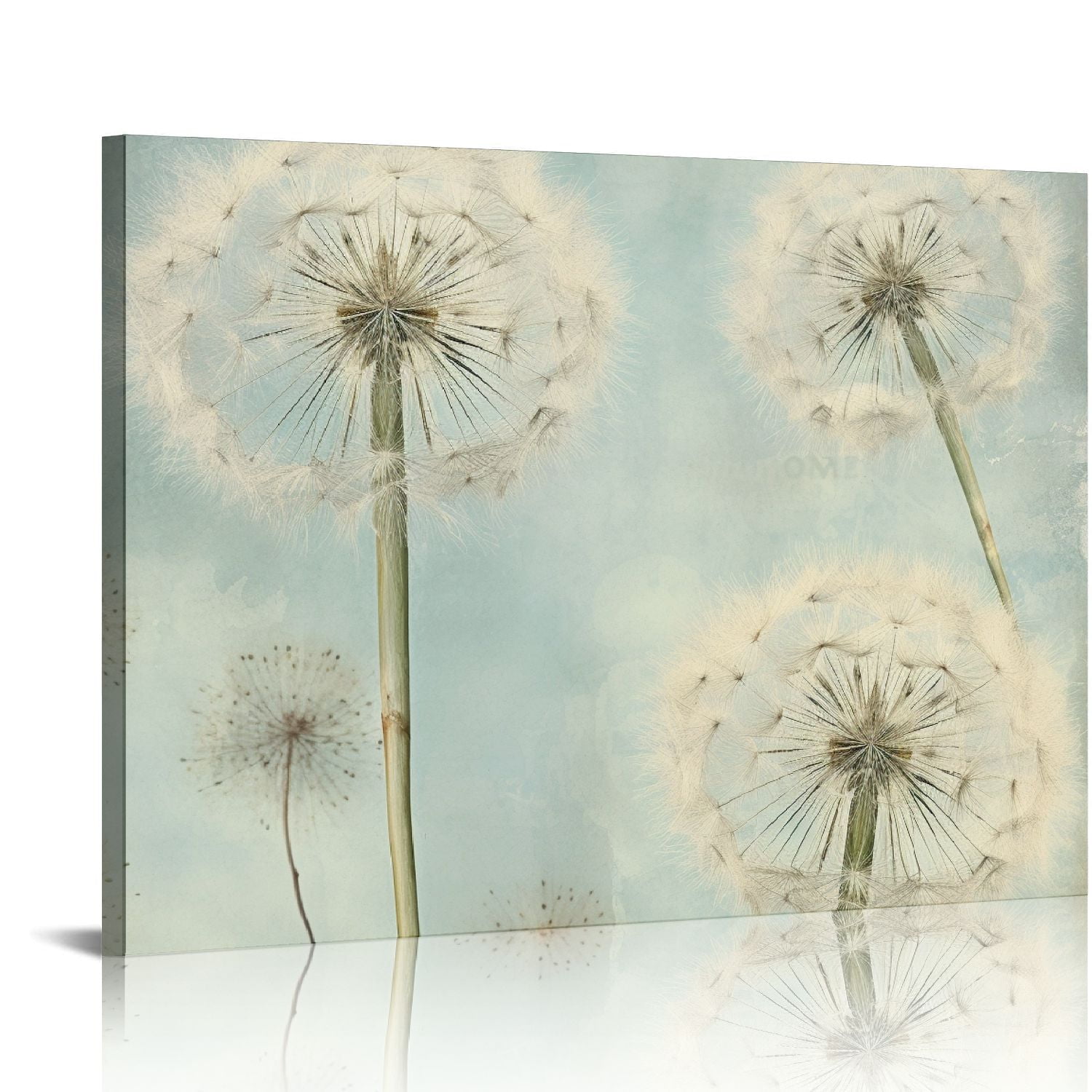 COMIO Dandelion Canvas Prints Botanical Wall-Art Bedroom, living Room ...