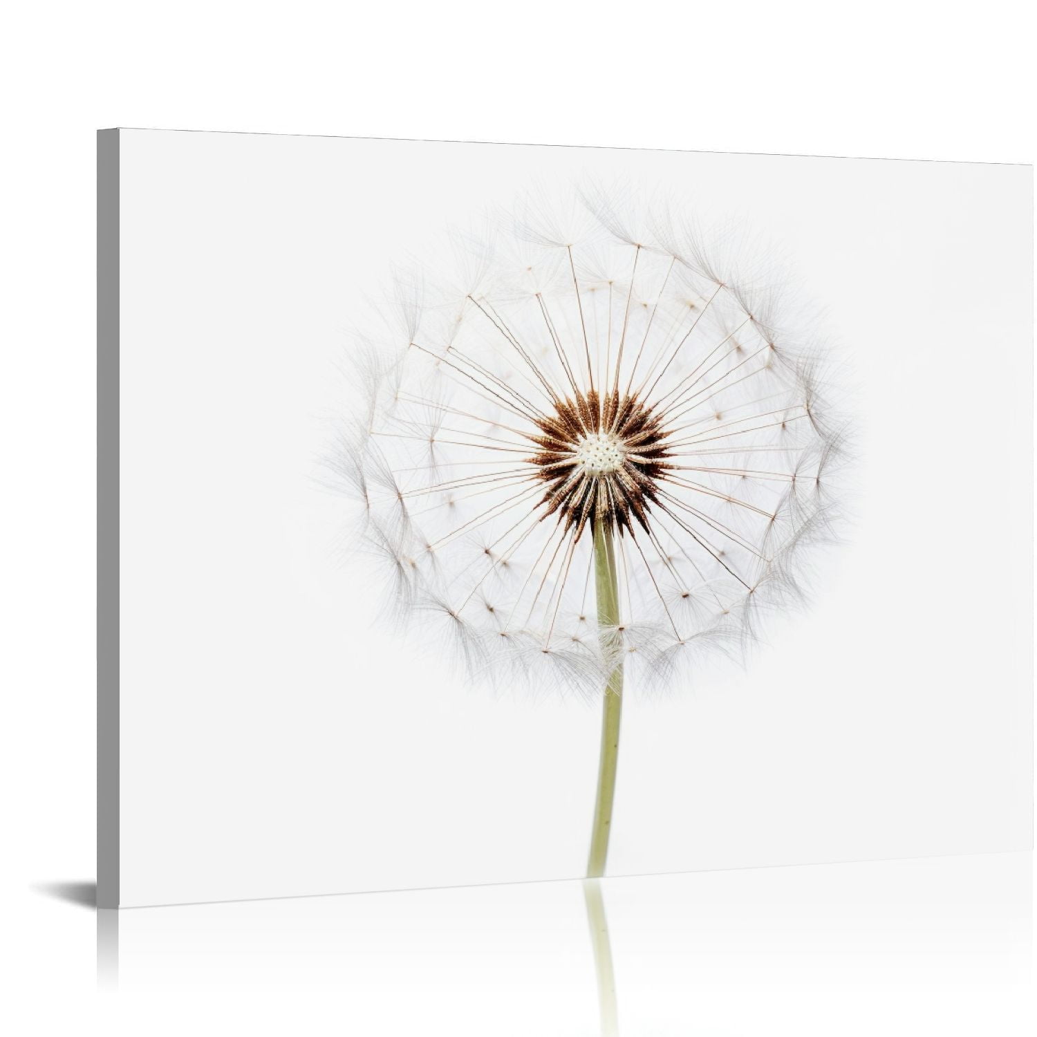 COMIO Dandelion Wall Decor,Black and White Flower Canvas Wall Art ...