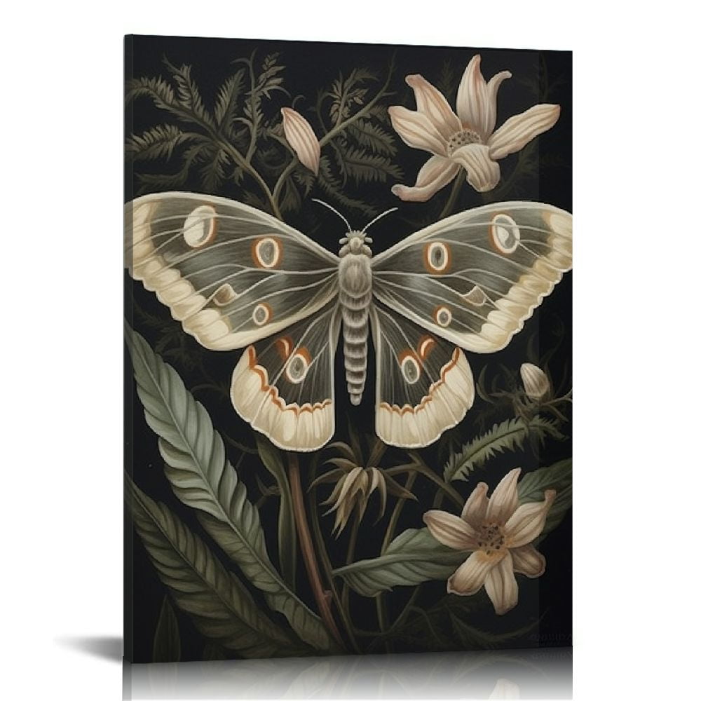 COMIO Dark Academia Insect Moth Poster for Room Goblincore Vintage ...