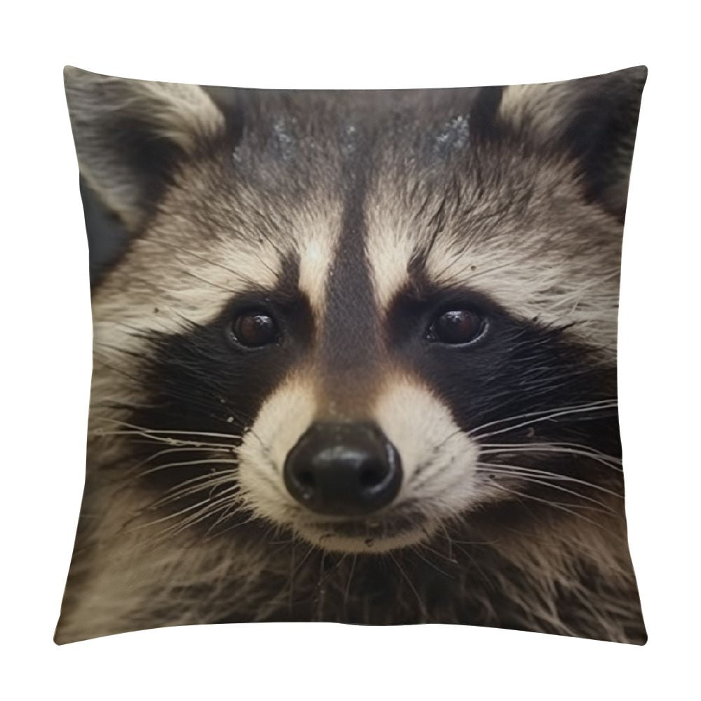 COMIO Decorative Throw Pillow Case Square Cushion Cover Brown to Gaze ...