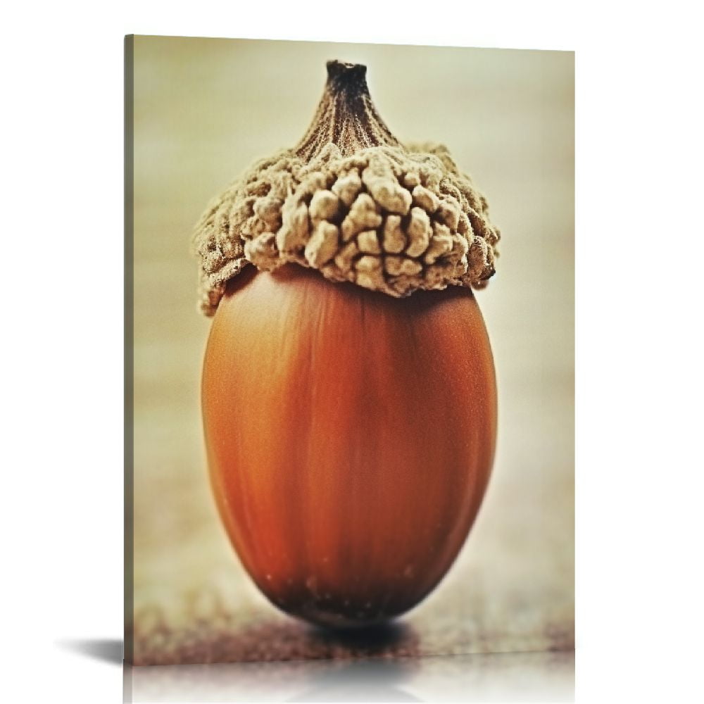 COMIO Food Nuts Acorn Art Room Aesthetics Posters Canvas Bedroom Sports ...