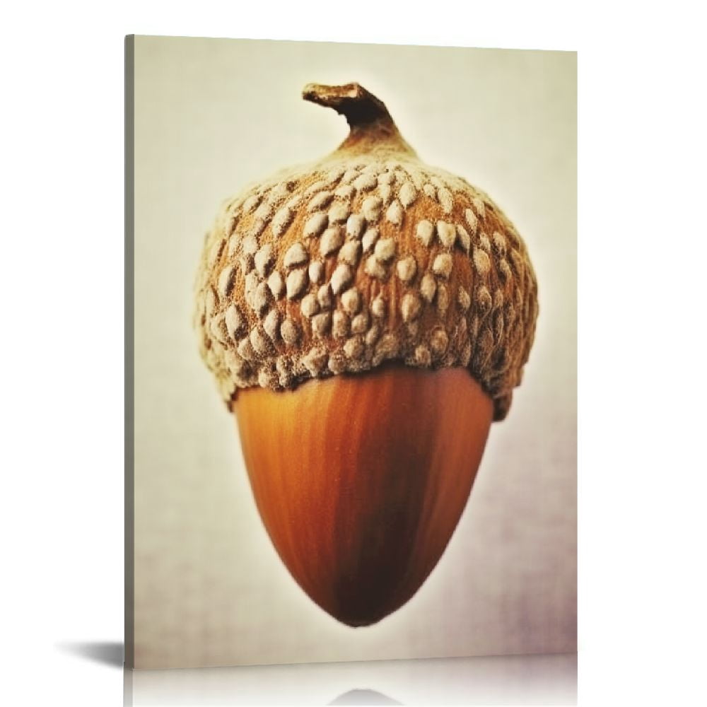 COMIO Food Nuts Acorn Art Room Aesthetics Posters Canvas Bedroom Sports ...