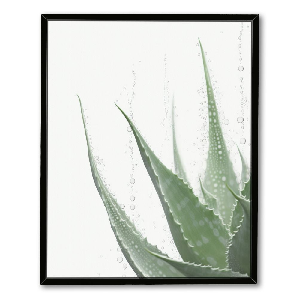COMIO Framed Canvas Print Wall Art Green Snake Plant Side View Nature ...