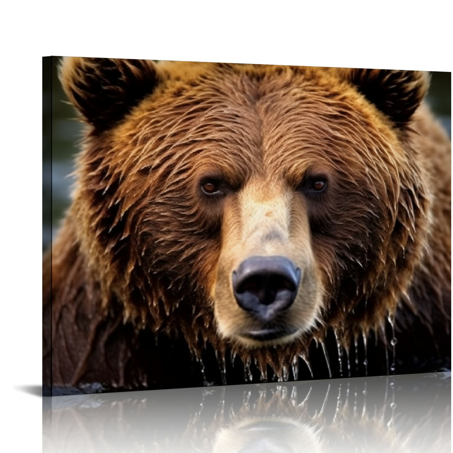 COMIO Grizzly Brown Bear Forest Animal Poster Poster Decorative ...