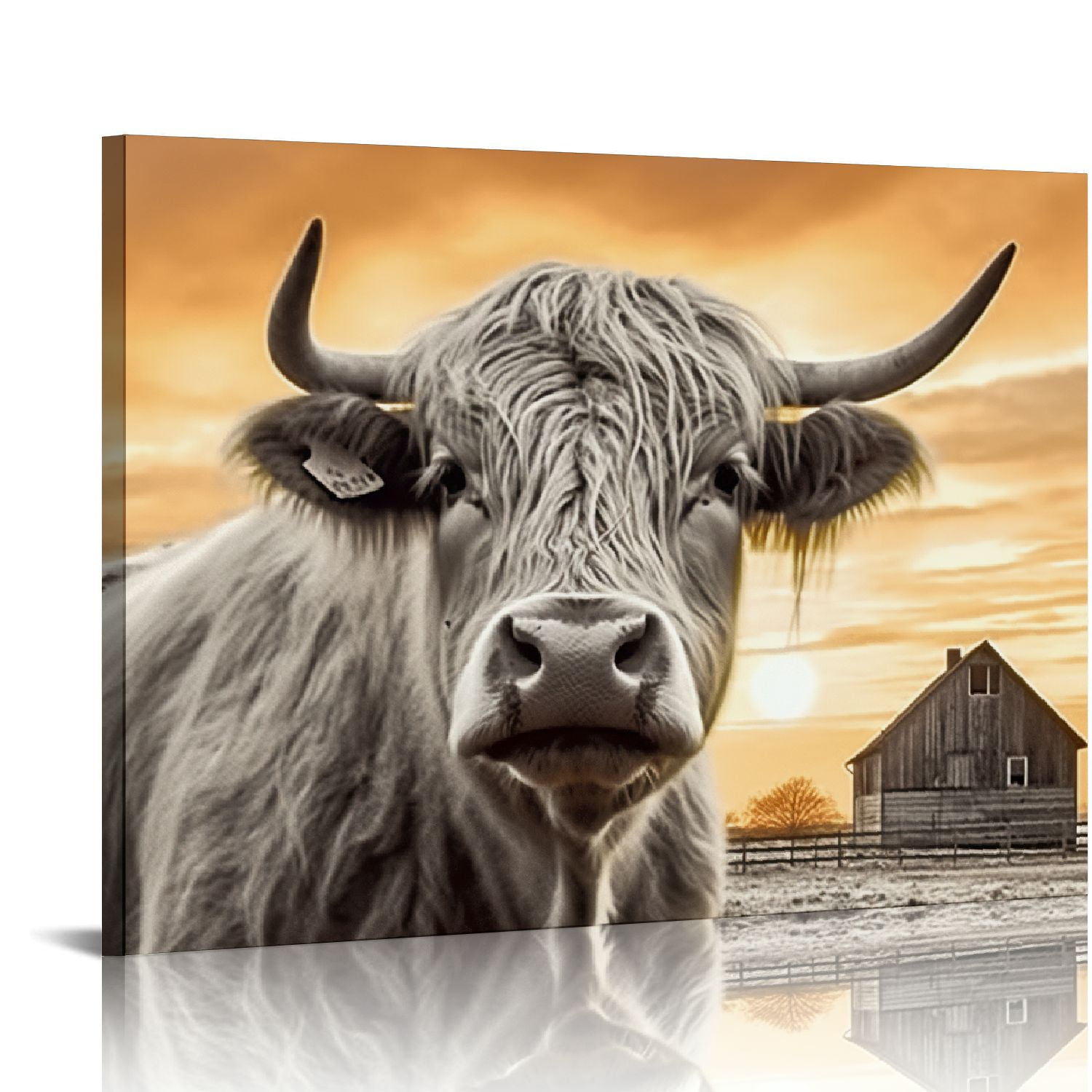 COMIO Highland Cattle Canvas Print Wall Art - Highland Cow Pictures ...