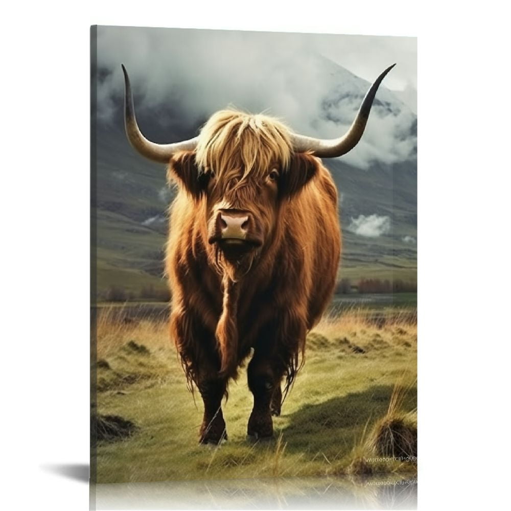 COMIO Highland Cow Pictures Wall Art - Farm House Animal - Boho Western ...