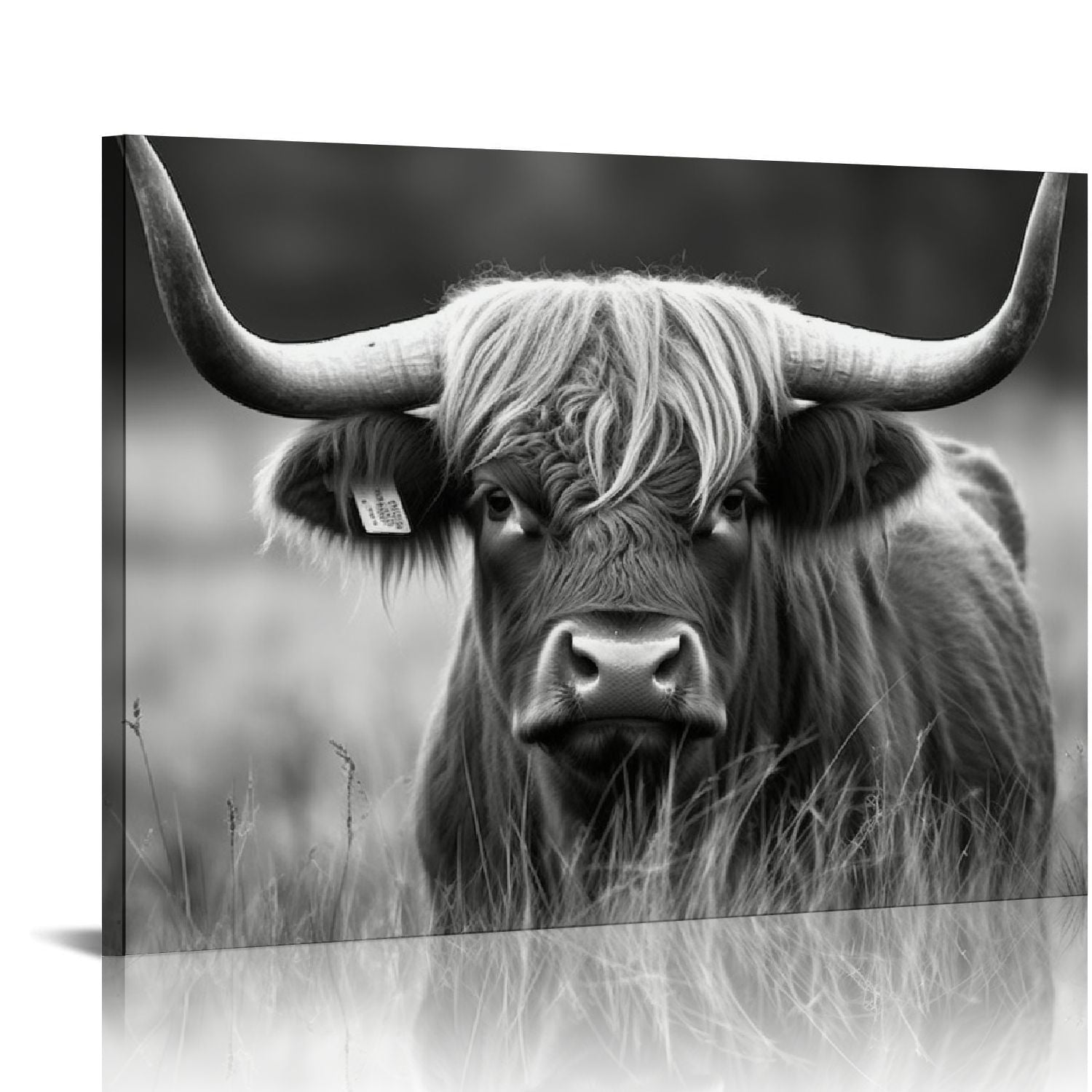 COMIO Highland Cow Wall Art Black and White Cow Picture Prints Home ...
