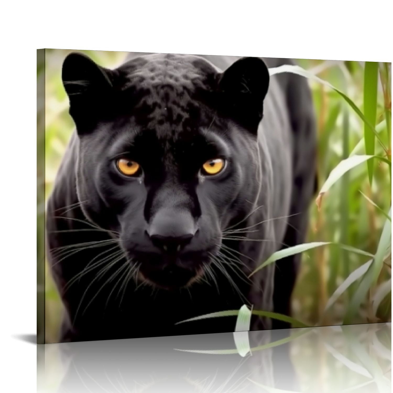 COMIO Jet Black Jaguar Ready To Attack (Animal Picture Poster Panther ...