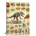 COMIO Laminated Introduction to Fossils Paleontology Educational ...