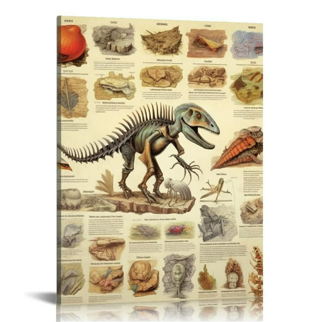 COMIO Laminated Introduction to Fossils Paleontology Educational ... COMIO Laminated Introduction to Fossils Paleontology Educational ...