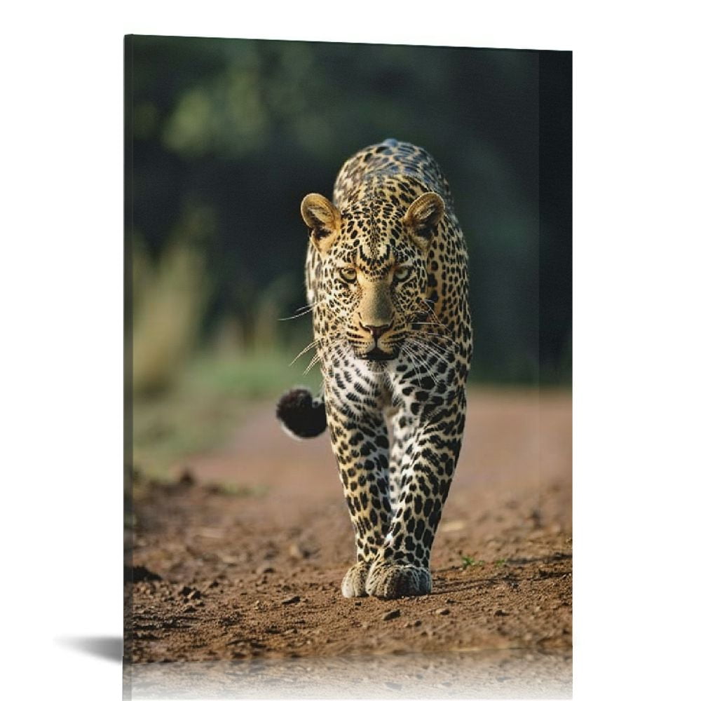 COMIO Leopard Wild Cats Nature Animal Room Aesthetics Posters Canvas ...
