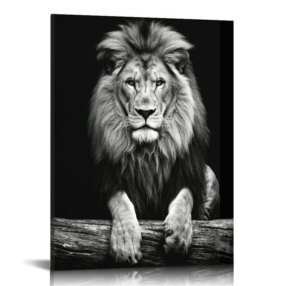 COMIO - Lion Canvas Print,Portrait of Beautiful Lion in the Dark Wall ...