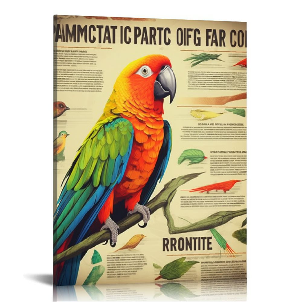COMIO Parrot Knowledge Poster, Parrot Fun Facts, The Anatomy of A ...