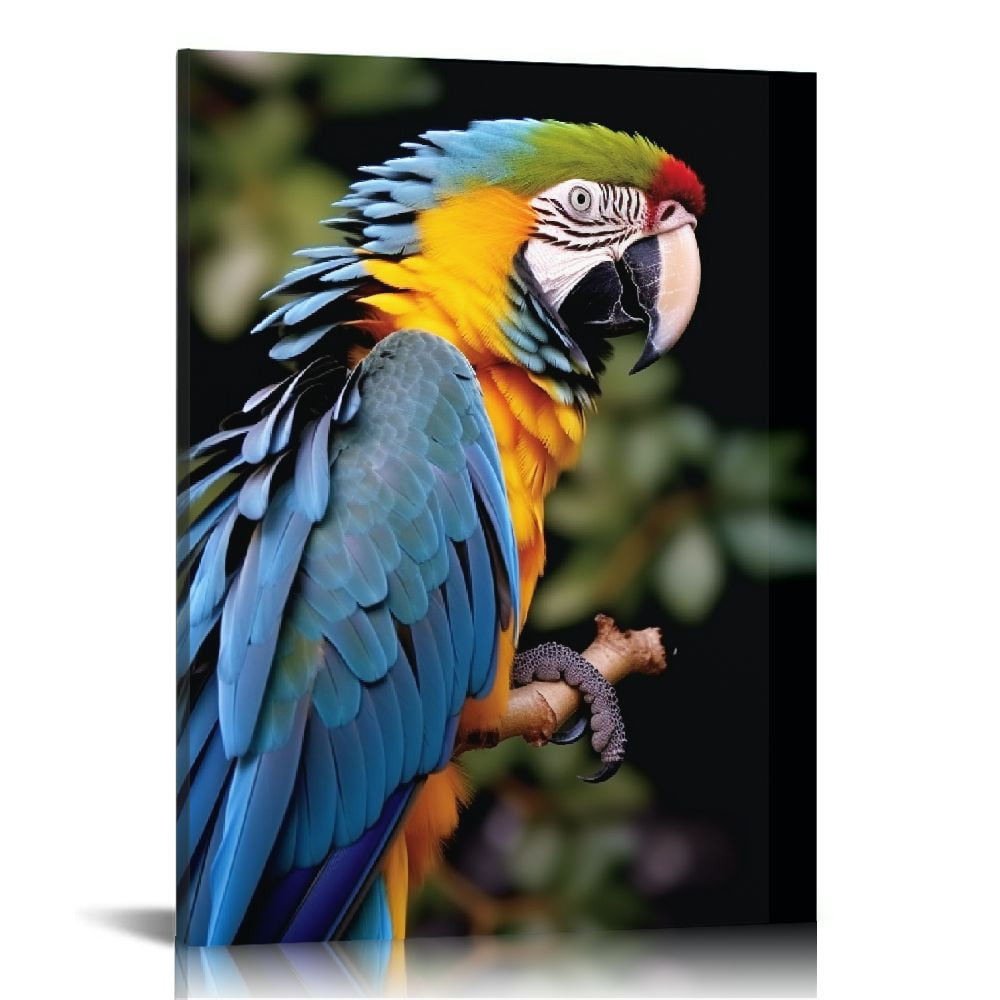 COMIO Parrot Pictures Decor Wall Art Blue Macaw Parrot Canvas Prints ...