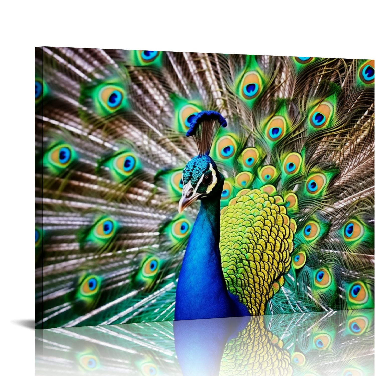 COMIO Peacock Showing Its Feathers Original Design Canvas Wall Art ...