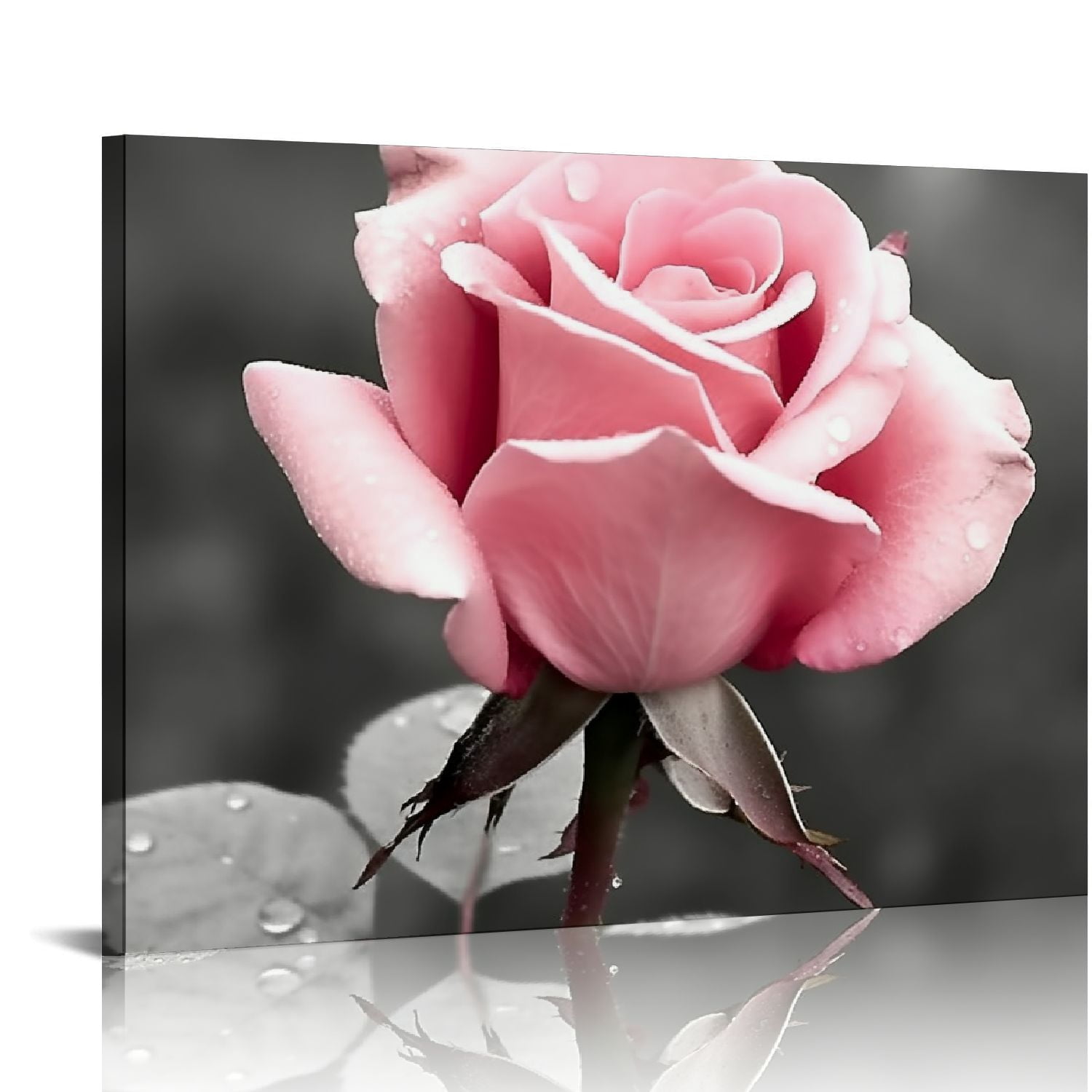 COMIO Pink Rose Flower Decor Wall Art Floral Paintings Prints Black and ...