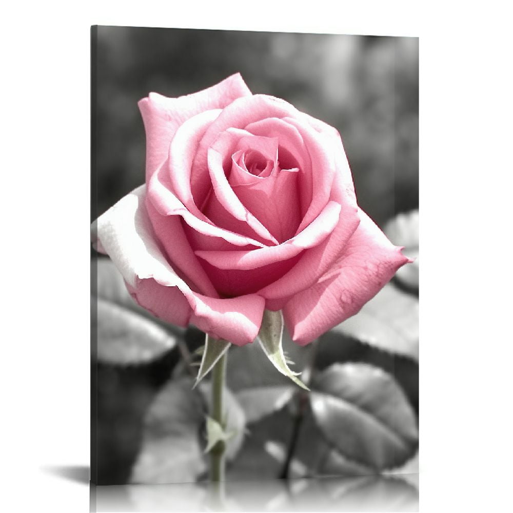 COMIO Pink Rose Flowers Picture Decor Wall Art Girls Bedroom Floral ...
