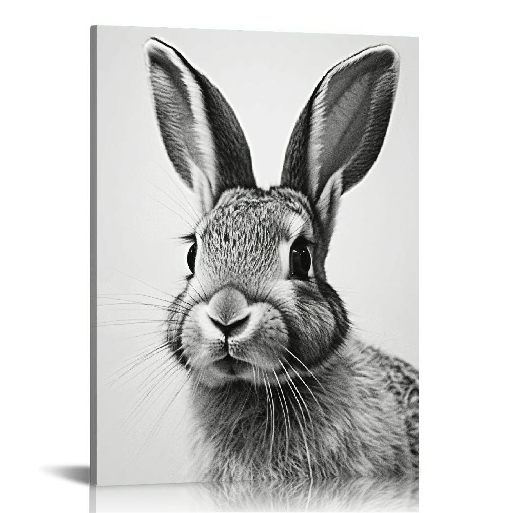 COMIO , Rabbit Black White Canvas Prints Artwork Wall Art Poster for ...