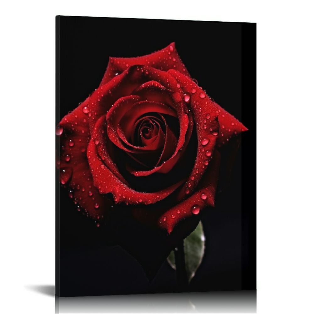 COMIO Red Rose Canvas Wall Art Flower Blossoming on Black Background ...