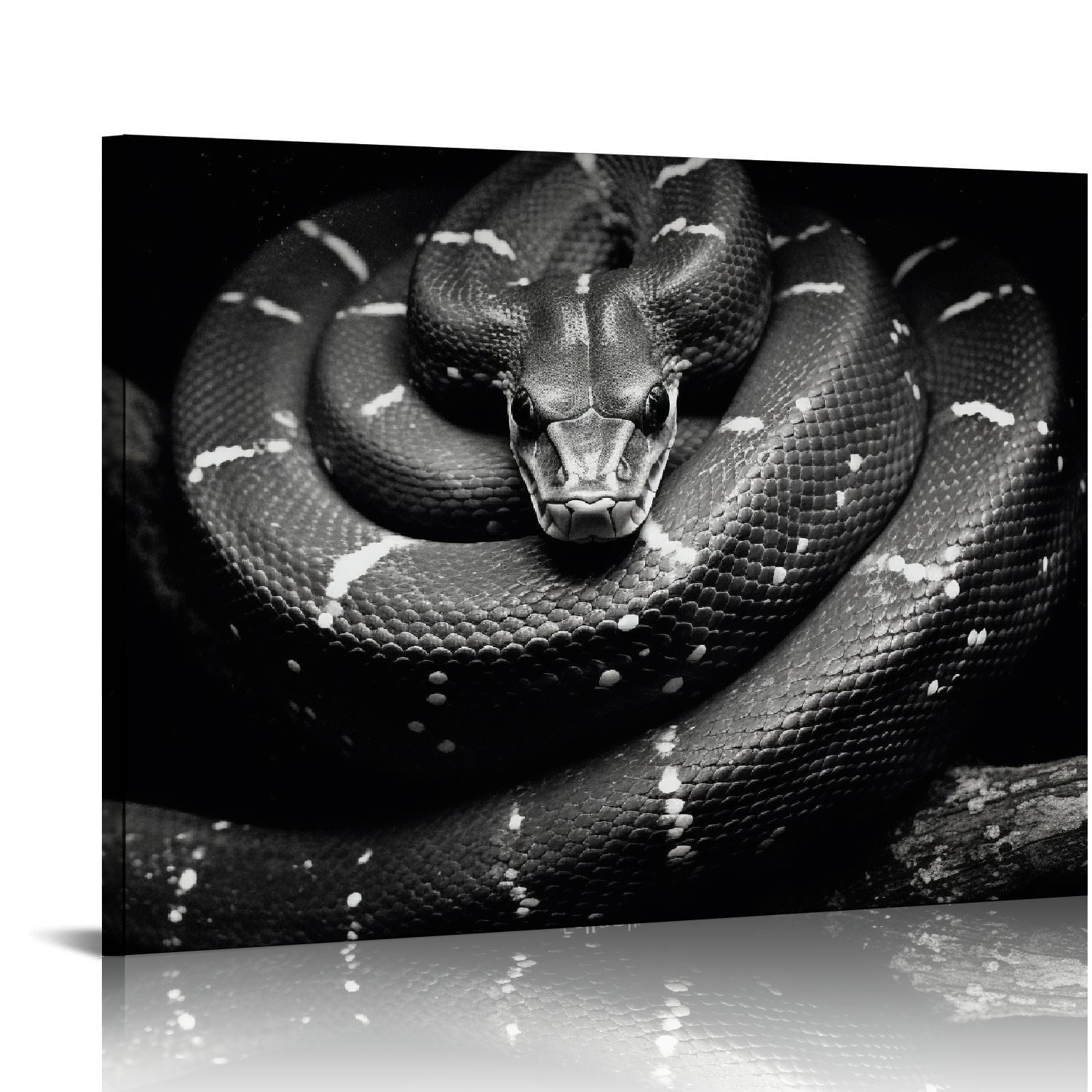 COMIO Snake Pictures Wall Decor Poster Canvas Wall Art Animal Prints ...