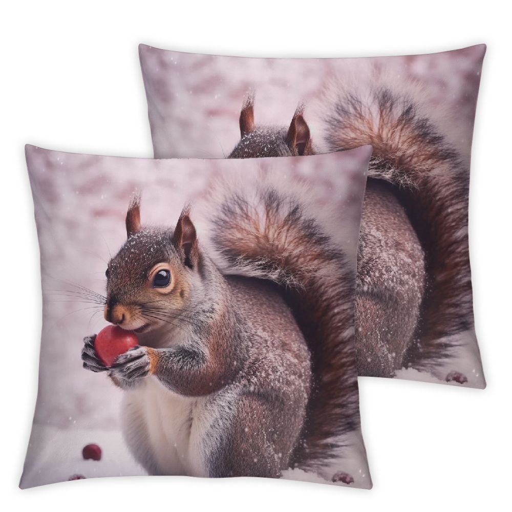 COMIO Throw Pillow Cover - Set of 2 Decorative Squirrel Printed Design ...