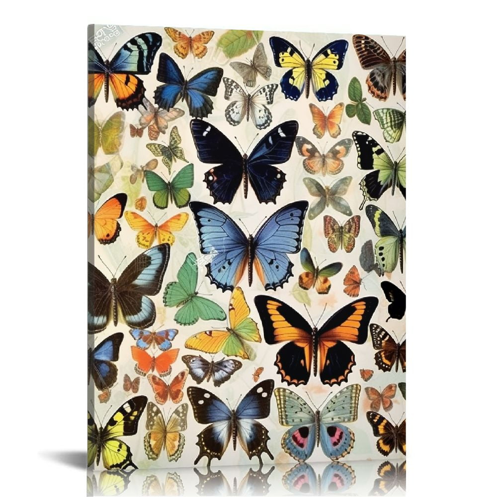 COMIO Vintage Butterflies Poster, Colorful Rustic Style Wall Art Prints ...