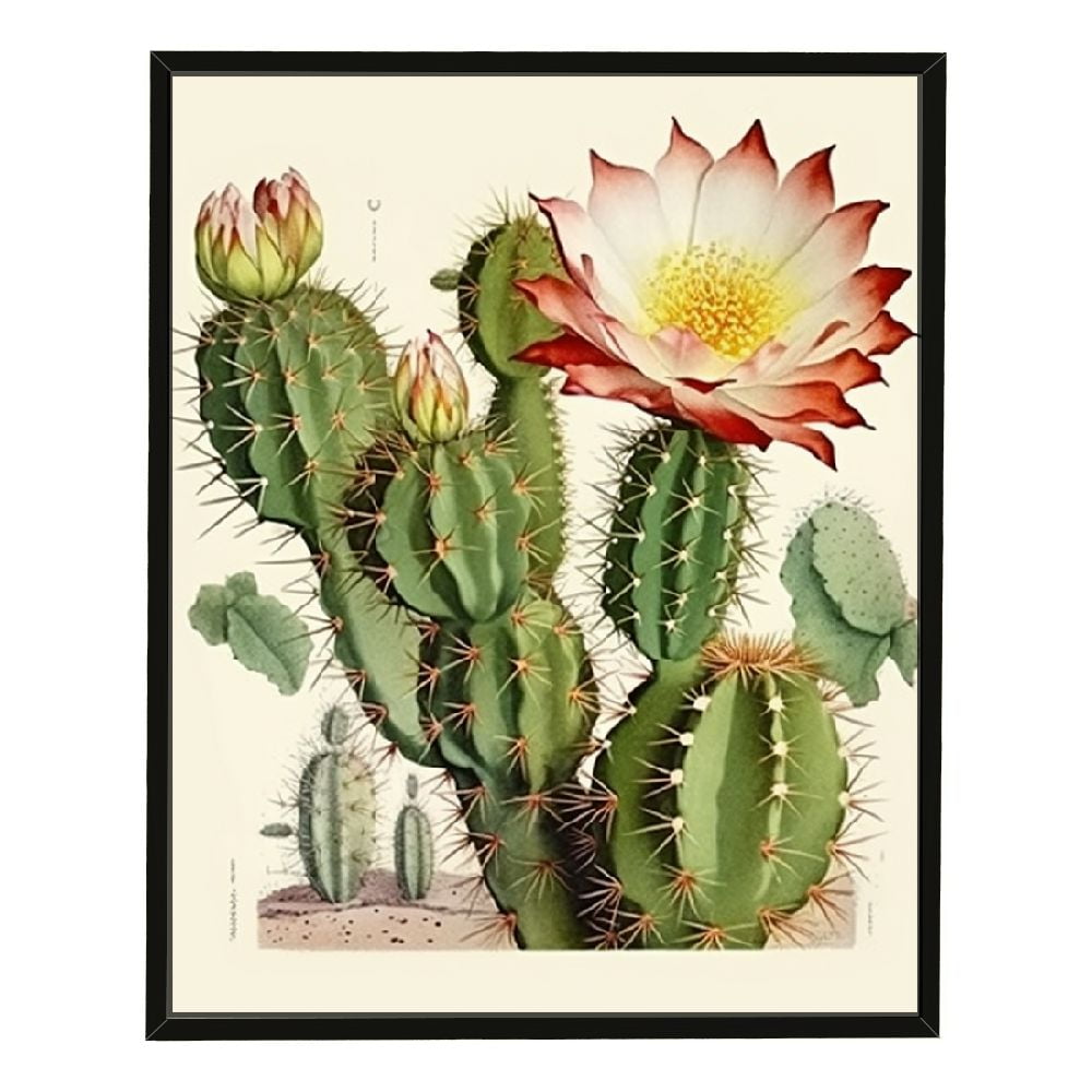 COMIO Vintage Cactus Wall Art Canvas Poster, Cacti Desert Botanical ...