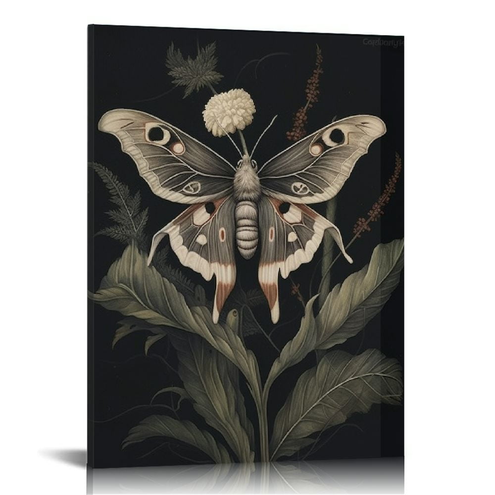 COMIO Vintage Insect Moth Poster for Room Goblincore Butterfly Canvas ...