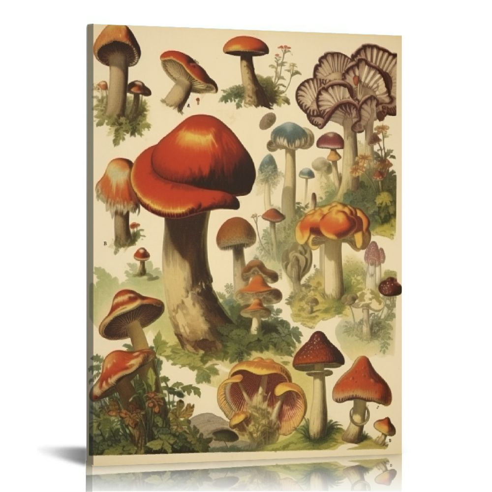 COMIO Vintage Mushroom Poster, Framed Ready to Hang, Rustic Style ...