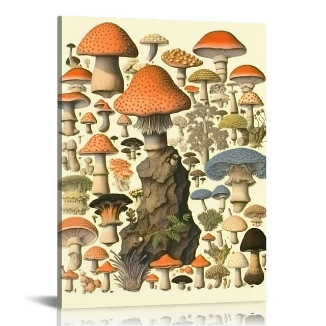 COMIO Vintage Mushroom Posters & Mushroom Wall Art - Adolphe Millot ...