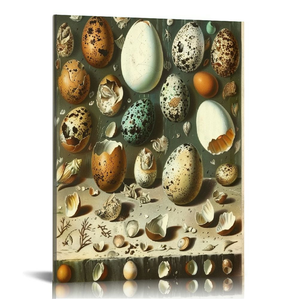 COMIO Vintage Poster Print Biology Botanical Science Wall Decor Sea ...