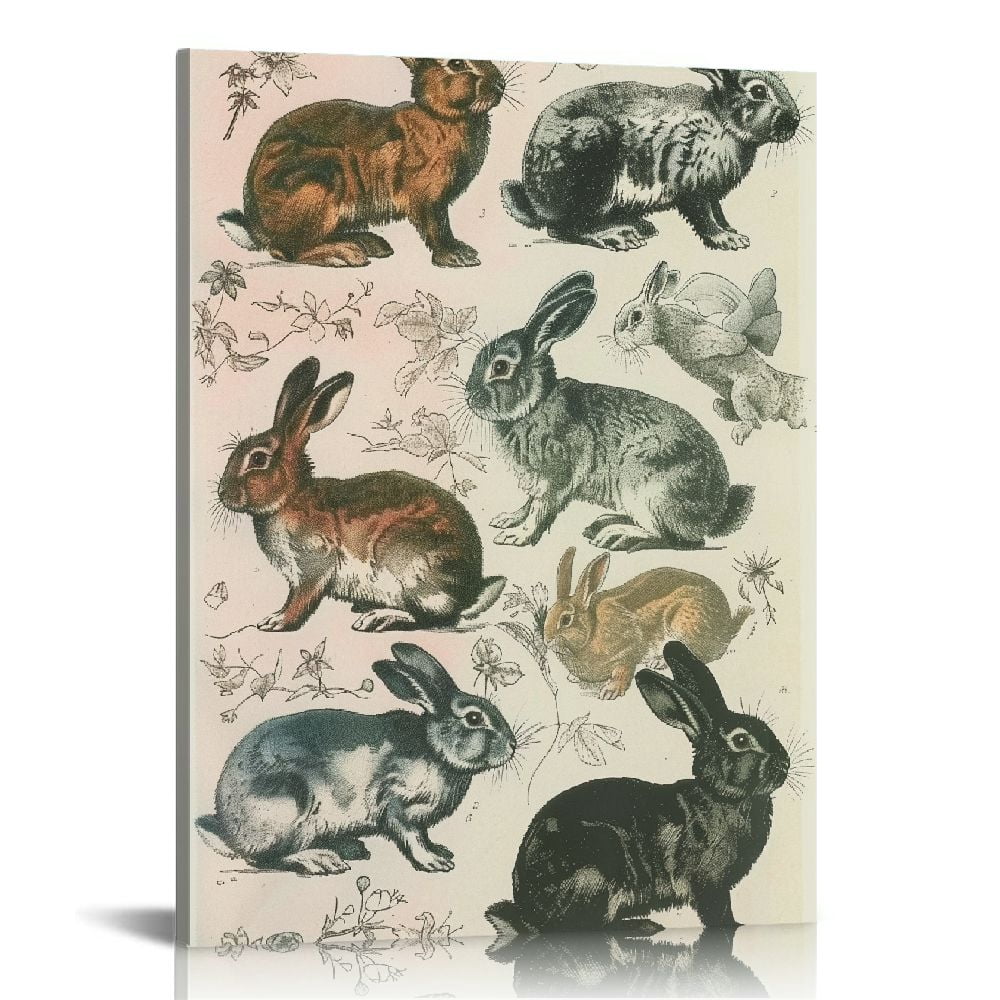 COMIO Vintage Rabbit Species Canvas Wall Decoration Poster, Easter ...
