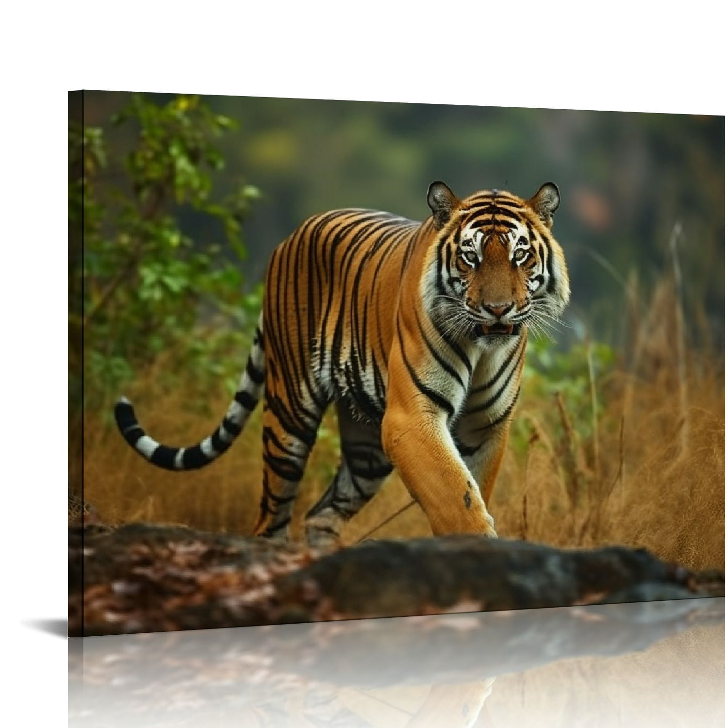 COMIO Wall Art Royal Bengal Tiger For living room Canvas Poster ...